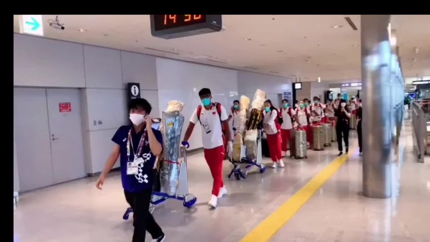 王者归来,祖国的骄傲#日本生活 #奥运会 #全红婵三跳满分夺冠