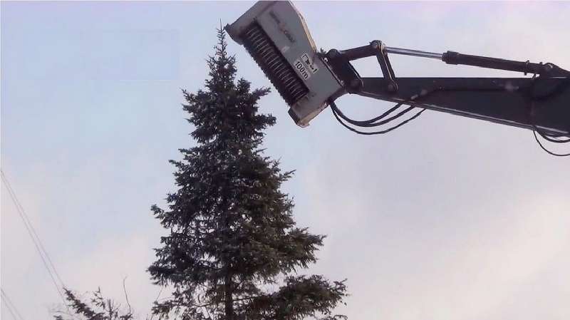 这是世界上最残忍的砍伐树木,一棵大树被这个大机械直接“吃”了