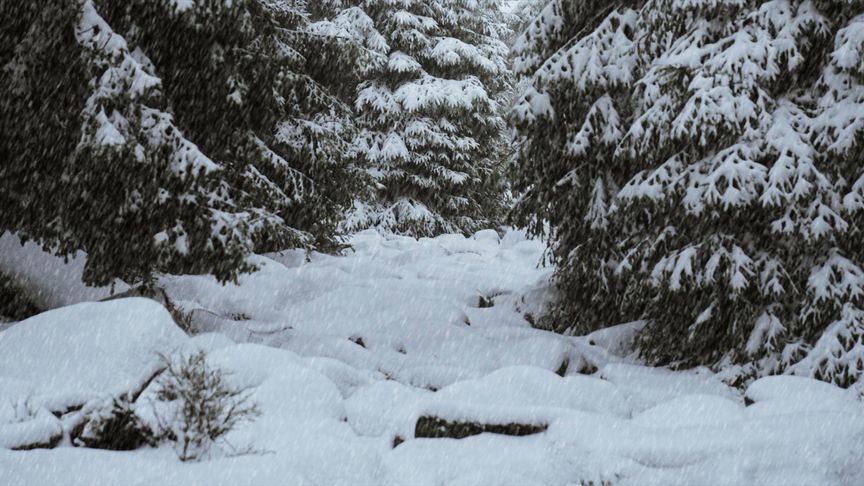 PS怎么制作飘落的雪花?戳视频梦梦教你