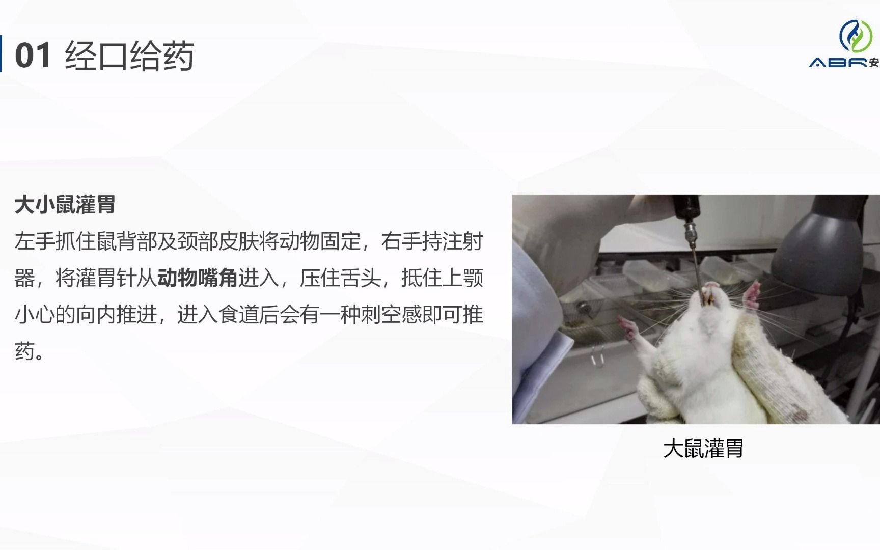 【生物医学实验室日常】供试品的给予方法