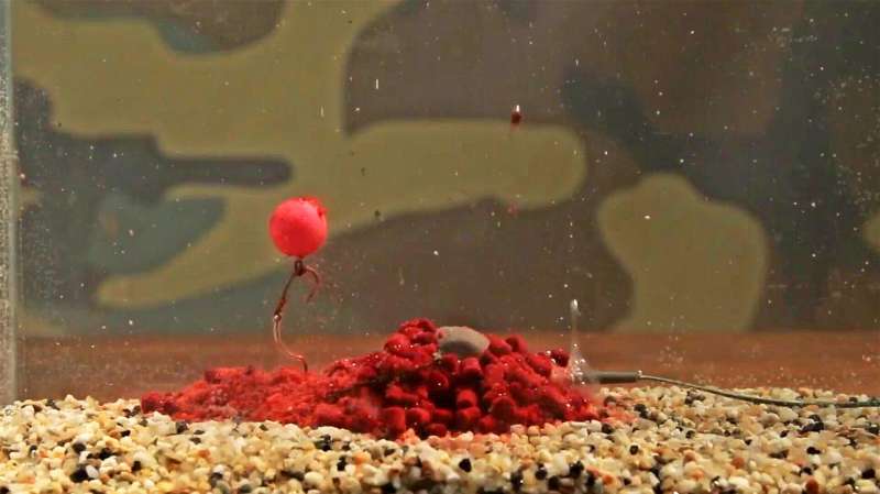 窝料万万不要急着打,内行人教你一个小套路,上鱼速度快了好几倍