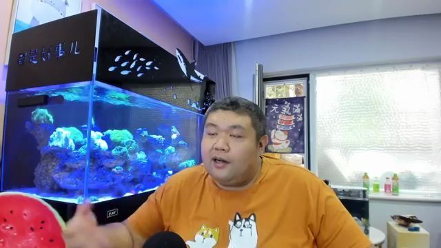 【博通聊历史 分店短视频】 真的很博通 今天一集彻底给你解决所有...