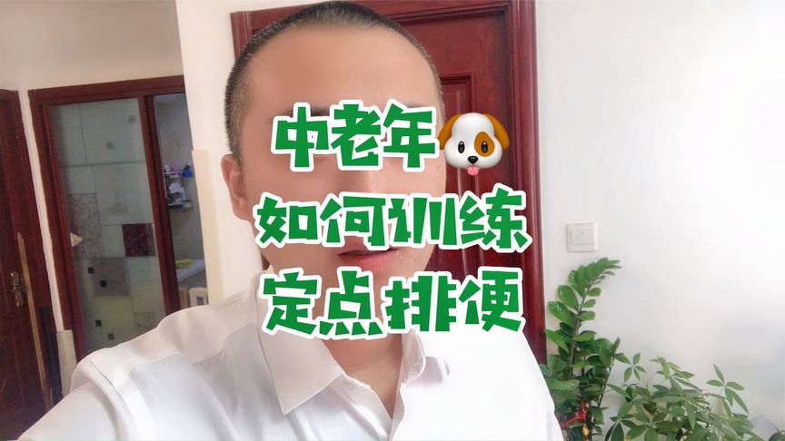 成年狗如何训练定点排便?与鹿教您3天可以改善狗狗定点排便教程