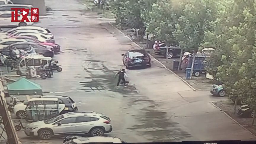 带狗出门遭另一只狗撕咬 男子奋力救狗 狗仍多处受伤