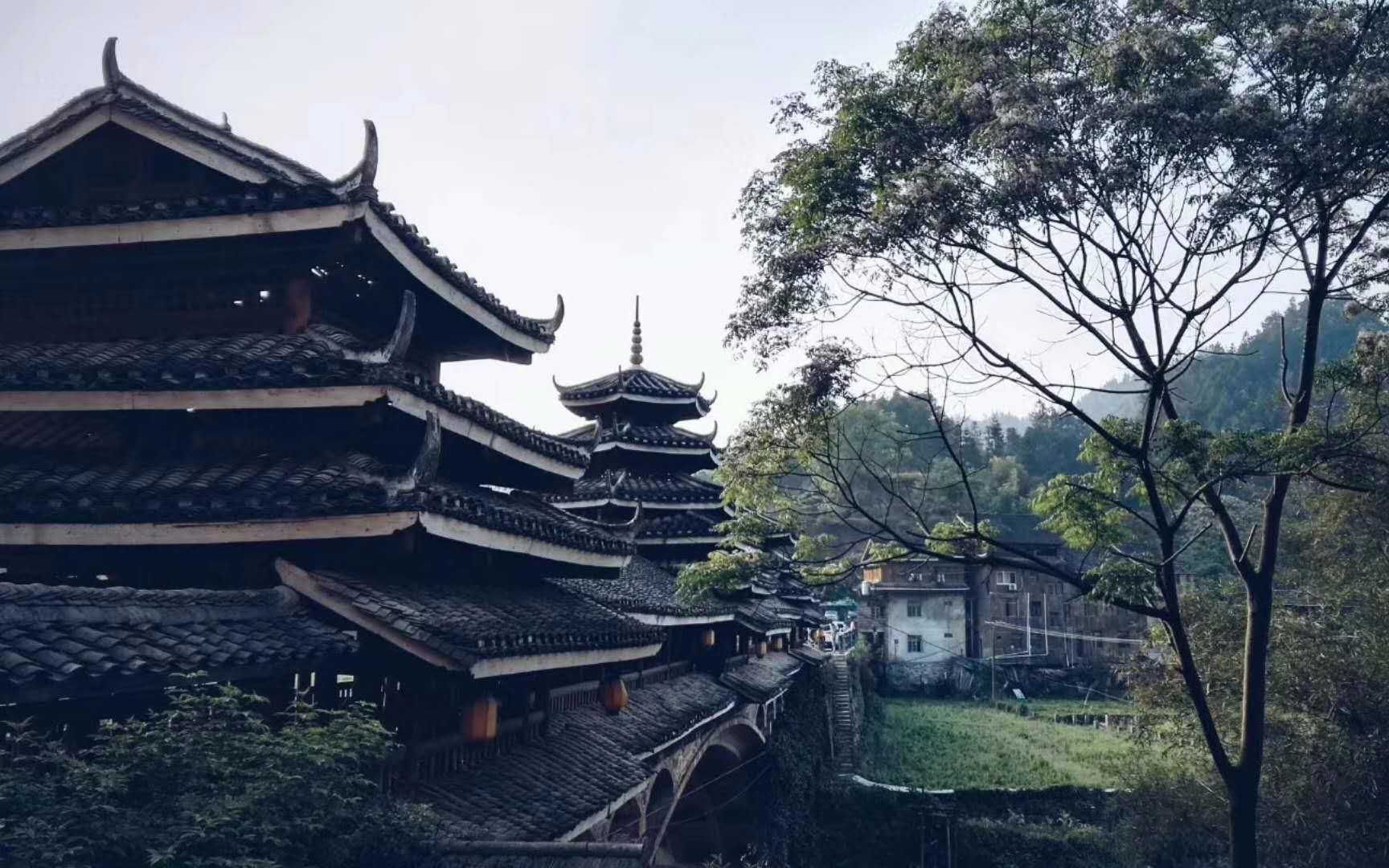 广州美术学院16会展下乡小视频