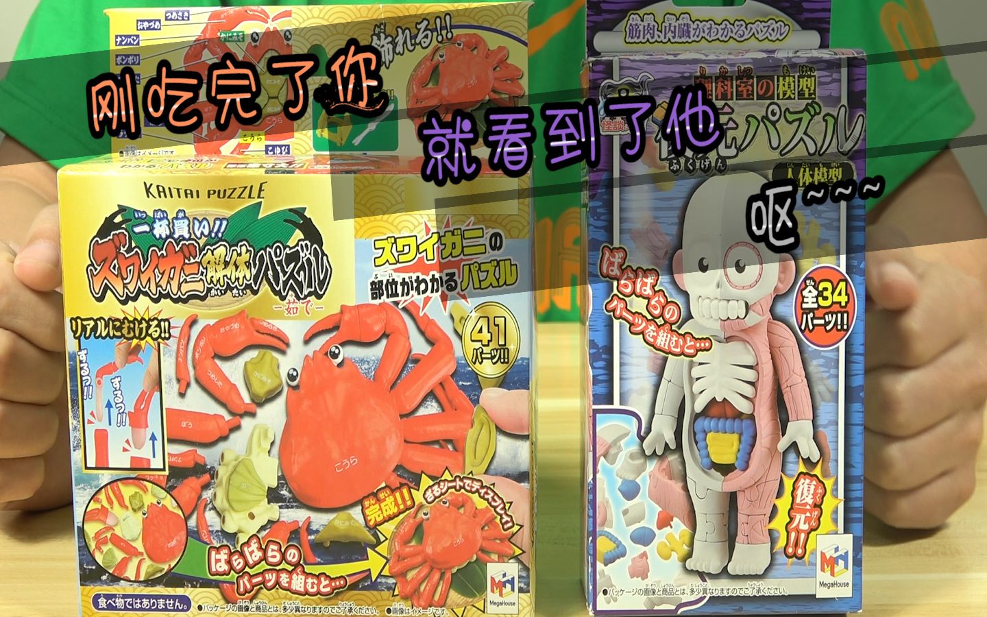 重口味!边吃螃蟹边人体解剖。MegaHouse拼装模型评测