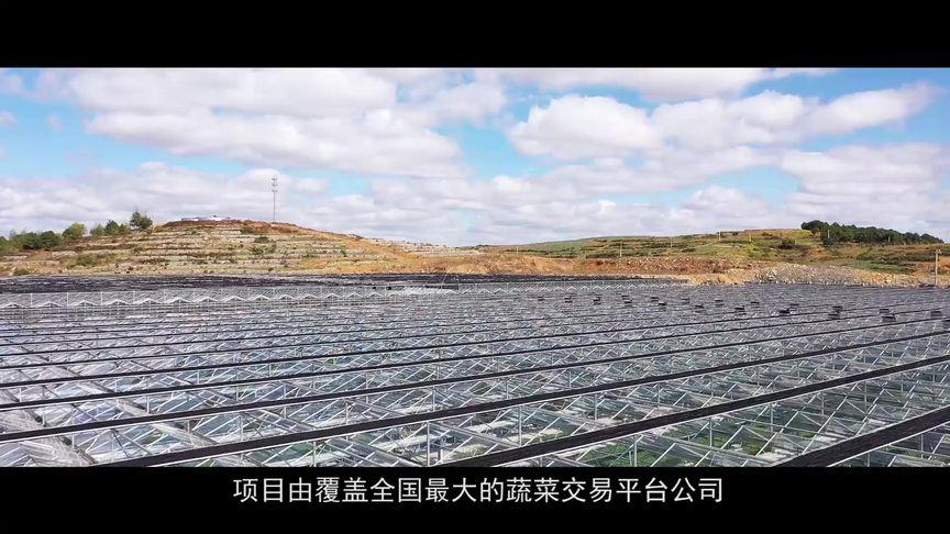 恒大农业集团投资智能温室的宣传片太震撼了,全是农业高科技!
