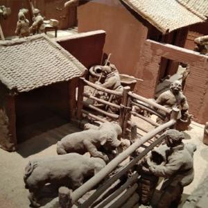 坠入凡间的顽石 