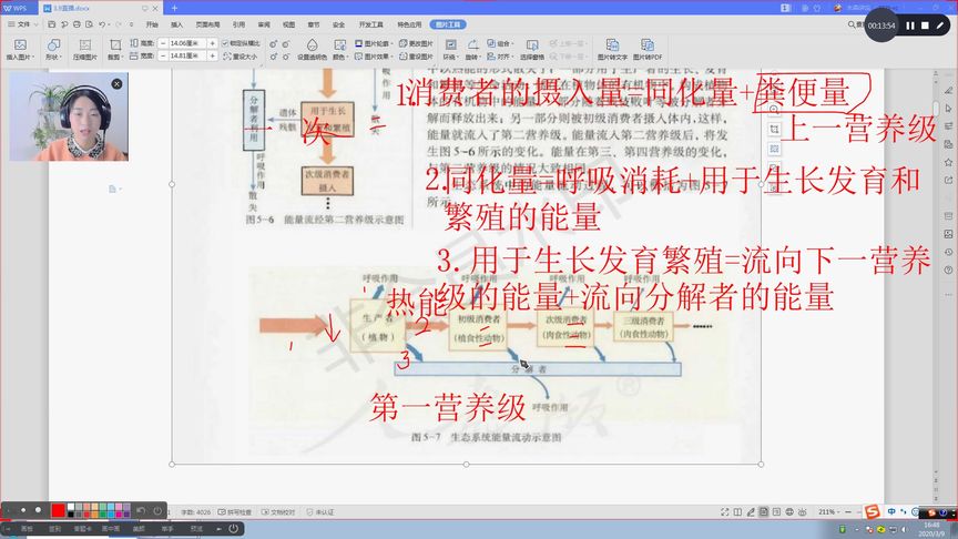 生态系统能量流动习题讲解课(高二理科学生和高三一轮复习学生)