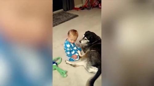 打工狗的带娃生活