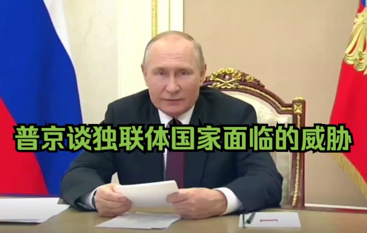 普京与独联体安全和情报部门负责人举行视频会议