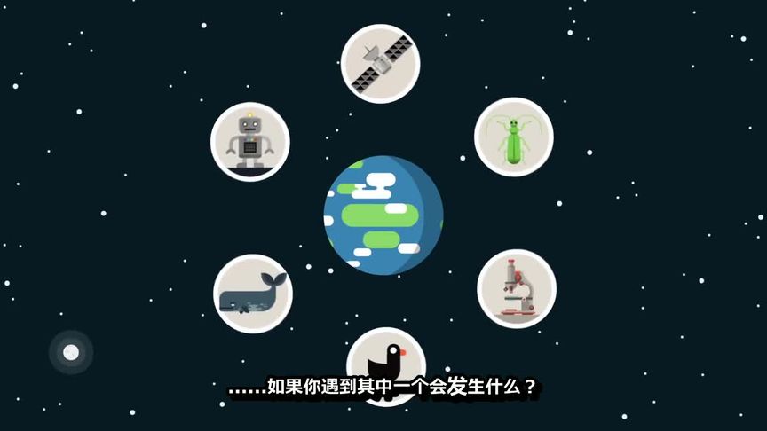从出生到死亡