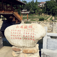 放肆小猫爱吃鱼 