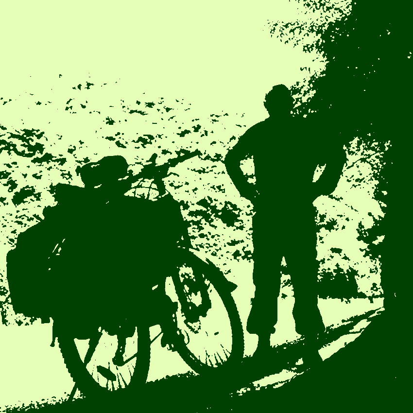 going走走looking看看 