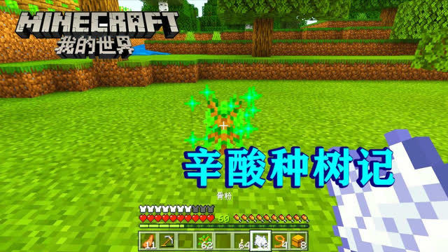 我的世界85:挑战屋里种树!80多个骨粉催不肥一颗小树苗