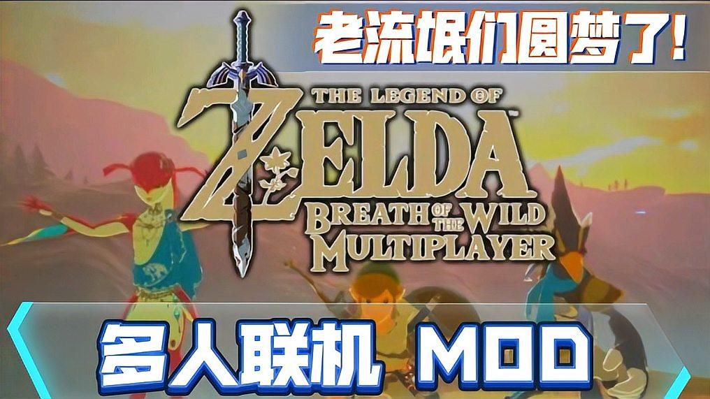赛尔达荒野之息联机mod 做一个不再孤单的老流氓 switch
