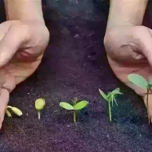 优酷用户1646805664182887 