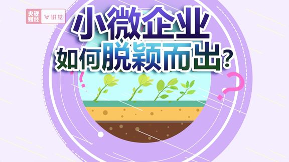 《央视财经V讲堂》小微企业如何脱颖而出?