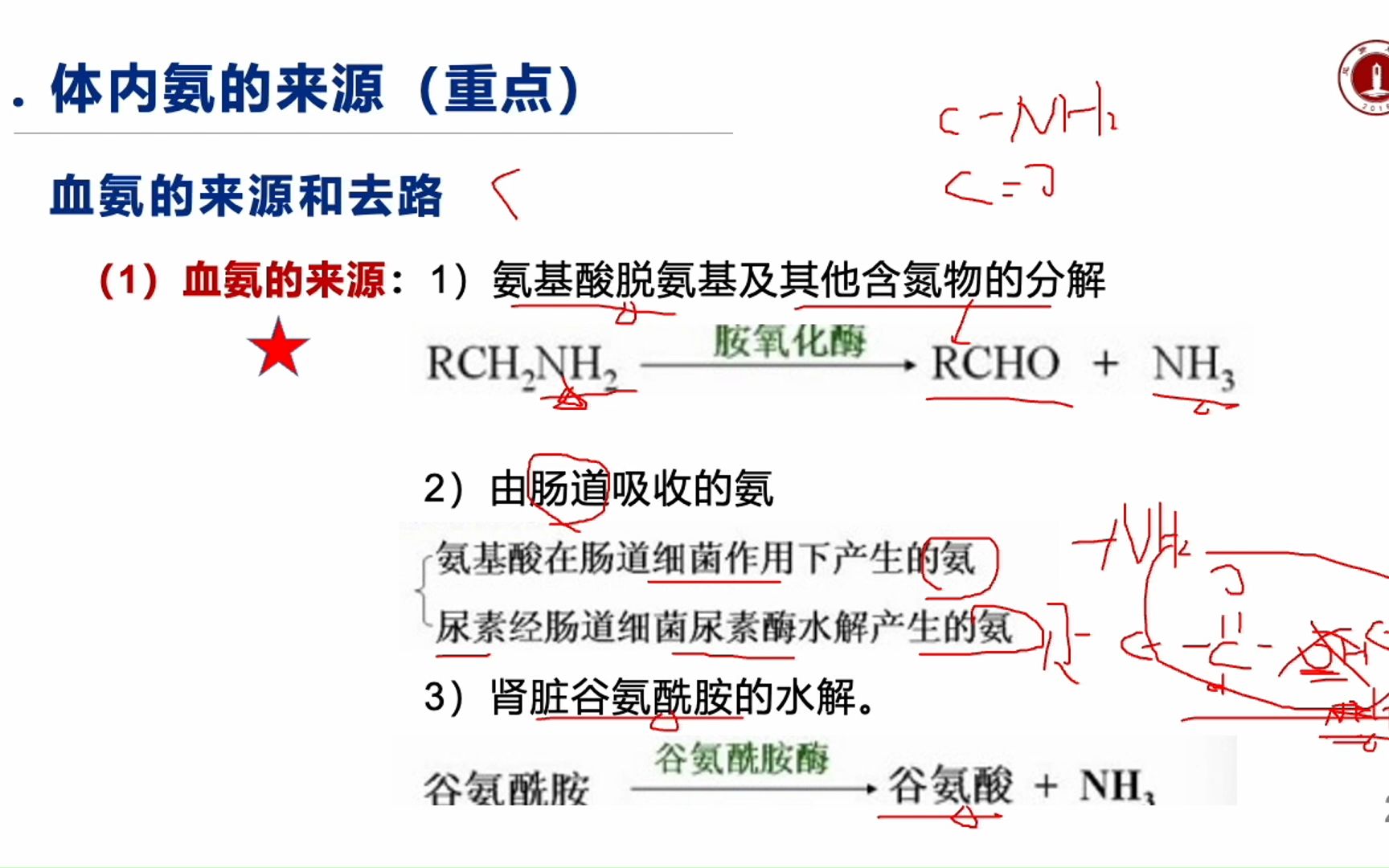 生物化学-蛋白质消化吸收与氨基酸代谢2