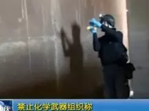 禁止化学武器组织称叙利亚已销毁6处化武设施 131018 早新闻