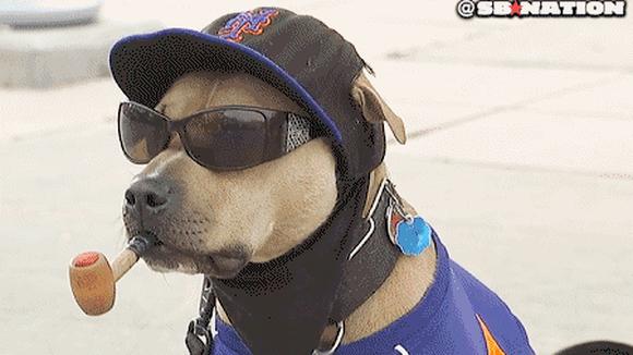 国外牛人系列-神一般的精准投放生活用品