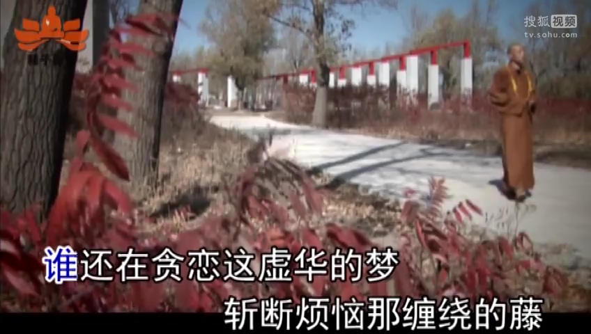 佛教音乐大悲咒《即心即佛》佛弟子修行经典佛歌视频