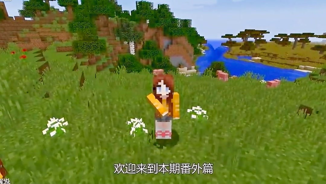 叶子解說:HIM的力量隐藏在MC源码中变身HIM原来只需这条指令!