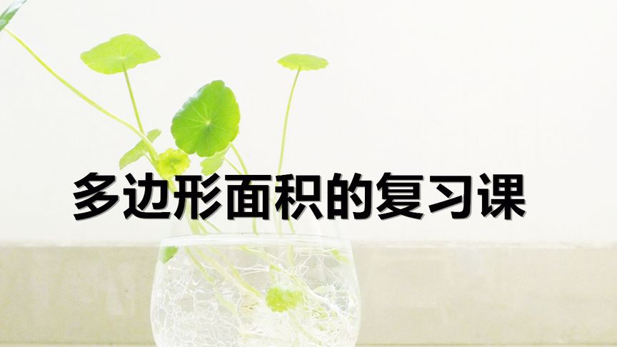 多边形面积的复习课