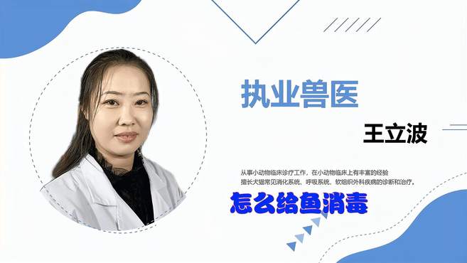 怎么给鱼消毒,给鱼消毒的方法有哪些