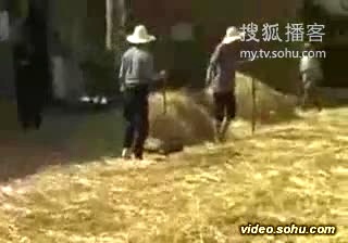 汉中打狗队真实记录视频 触目惊心!