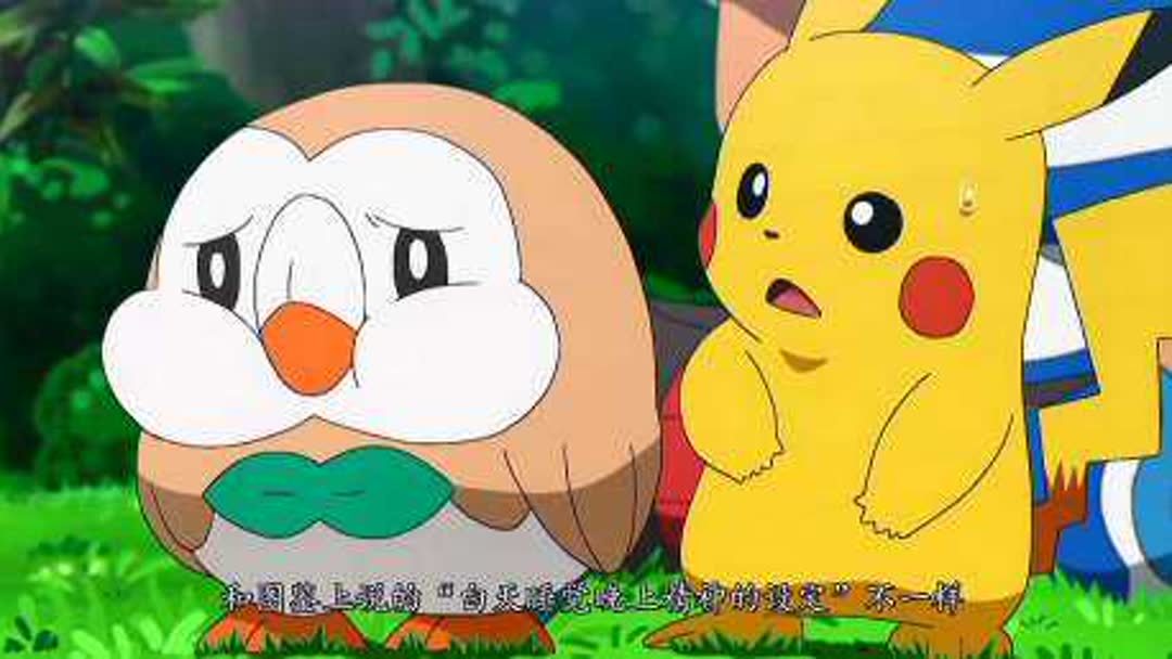 神奇宝贝人物志,日月里的卖萌担当-永远也不能进化的木木枭