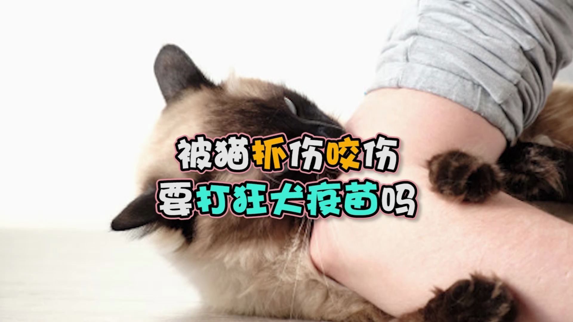 被猫抓伤咬伤要打狂犬疫苗吗?