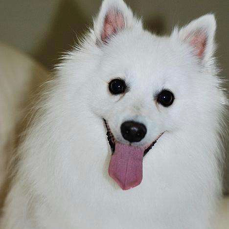 学five了呜呜呜呜 