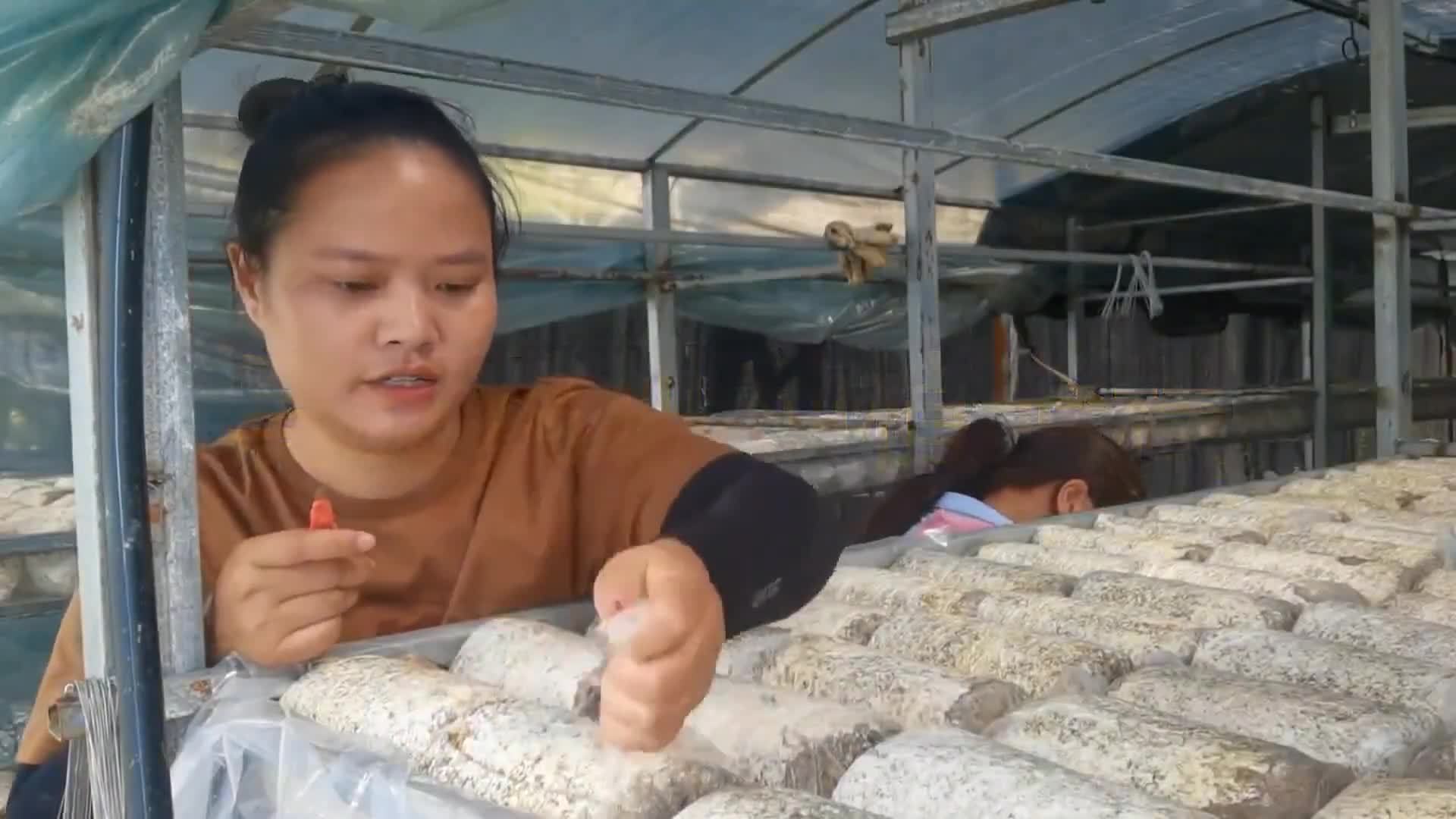 ...从种植到管理到采收到销售,看完视频你会有收获的!#新农人计划2024...