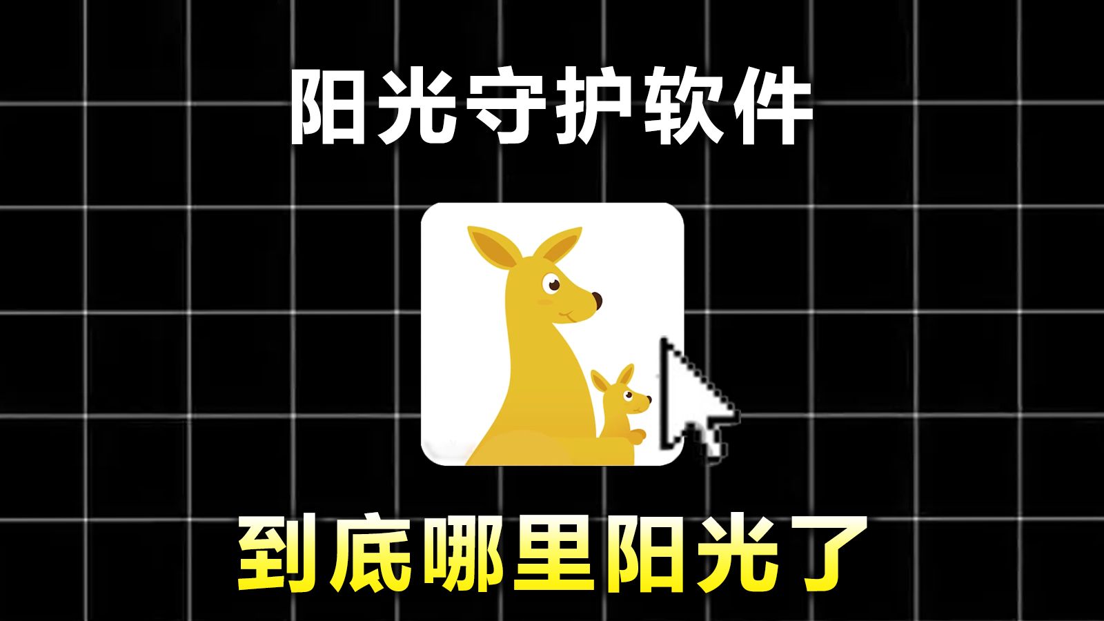 阳光守护软件真的阳光吗?