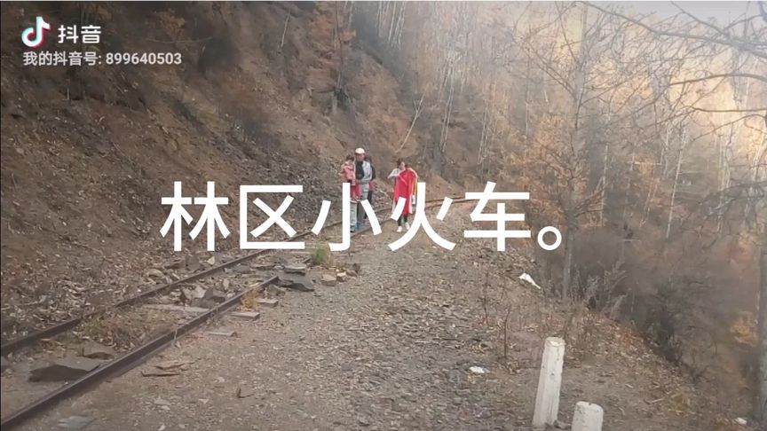 七八十年代的运材小火车。