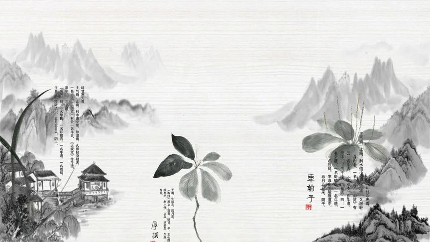 水墨中医养生医药传统文化节目片头宣传视频代制作素材动画AE模板