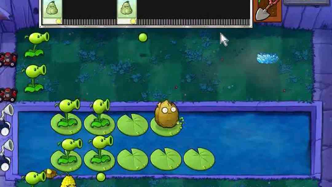 植物大战僵尸 无敌版 真正的战斗