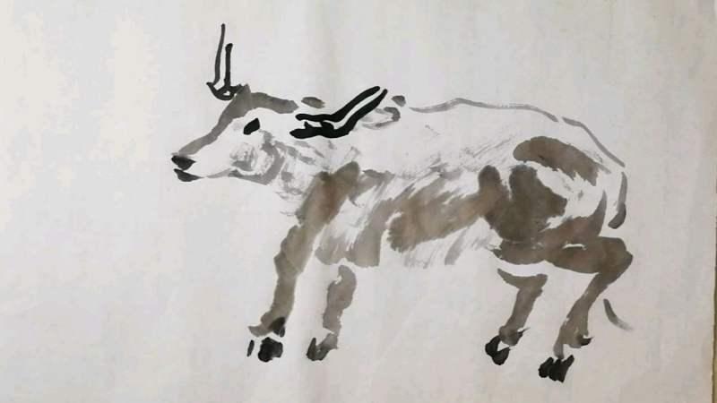 6.3.4动物的画法,点景,国画快速入门