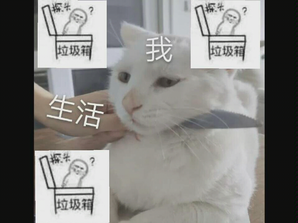 蜘蛛遇到演员加挂机是个什么游戏体验。