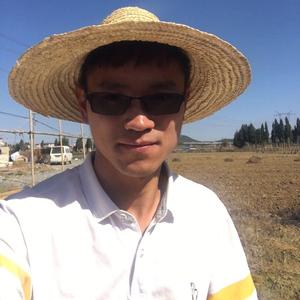 农村土地小管家 