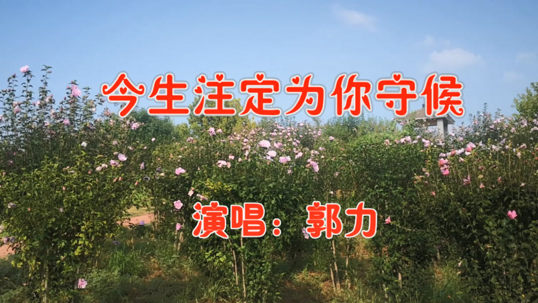 郭力一首《今生注定为你守候》唯美醉人,句句深情,醉人心扉!