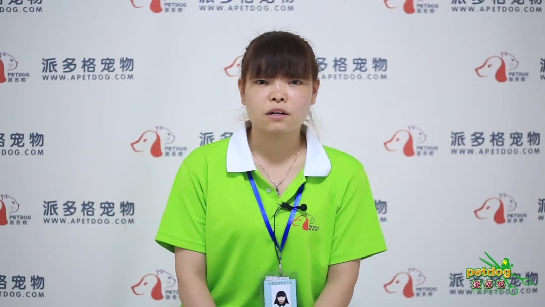 开宠物店加盟大概多少钱