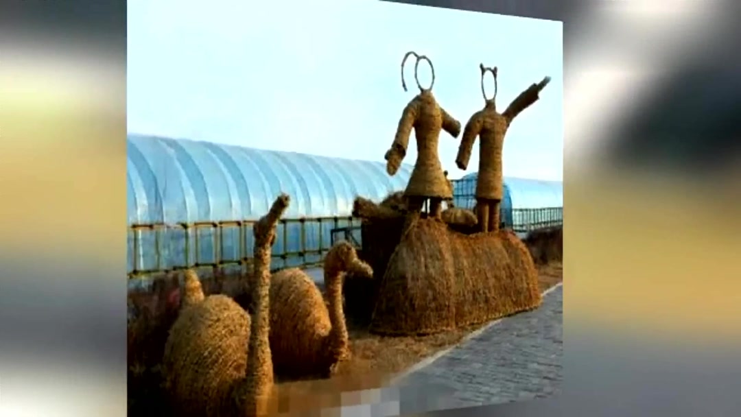 奇趣:辽宁稻田现“稻草人”雕塑 造型似广场舞-猎奇