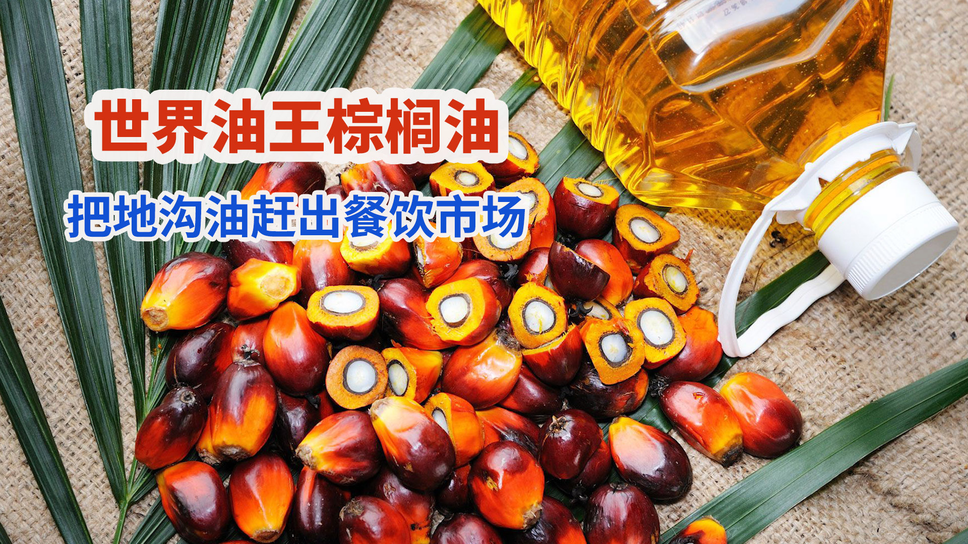 世界油王棕榈油有多牛?能把地沟油赶出餐饮业市场