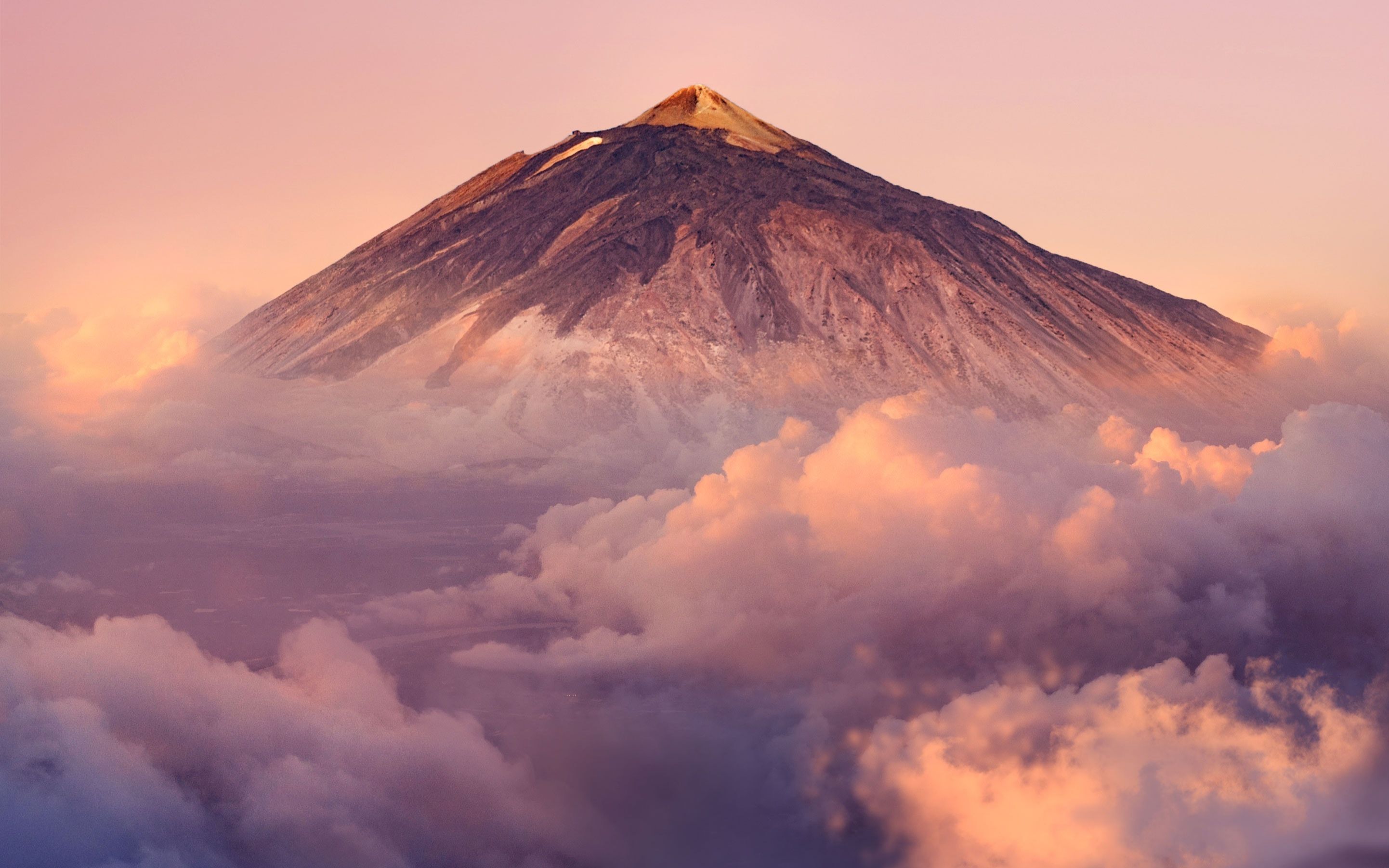 计算机网络的自我修养