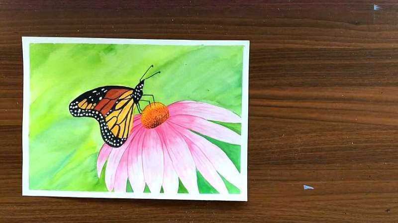 简单好学的水彩绘画视频教程,教你绘制花朵和蝴蝶