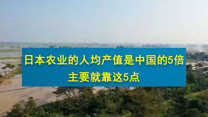 日本人均农业产值达中国5倍,主要就靠这五点!