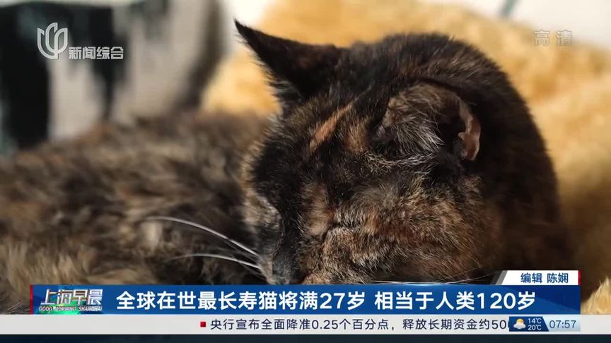 全球在世最长寿猫将满27岁 相当于人类120岁