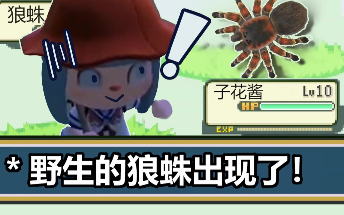 【动物森友会】当你第一次在岛上遇到狼蛛并且想要进行捕捉时【子花...